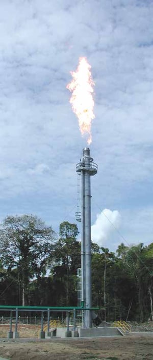 Air-Assisted Flare AF Series